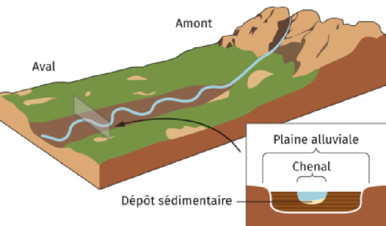 SVT2de 11 Act4 Schema | PDF SVT2de 11 Act4 Schema | PDF