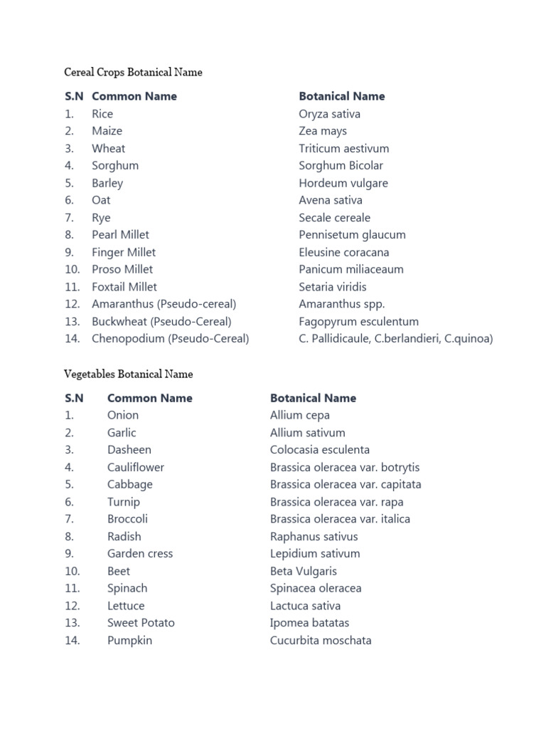 Cereal Crops and Their Botanical Names | PDF | Cucurbita | Vegan Cuisine