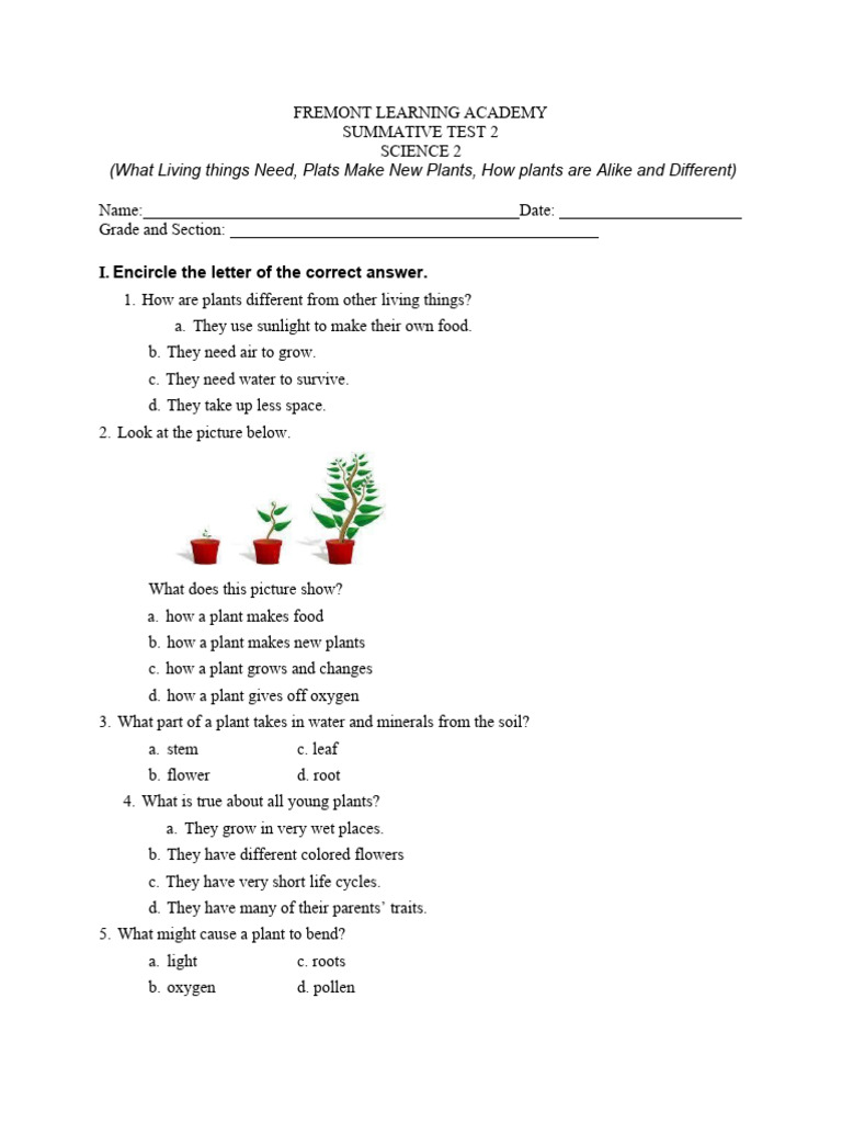 (Q1) Science 2 - Summative Test #2 | PDF | Plants | Flowers