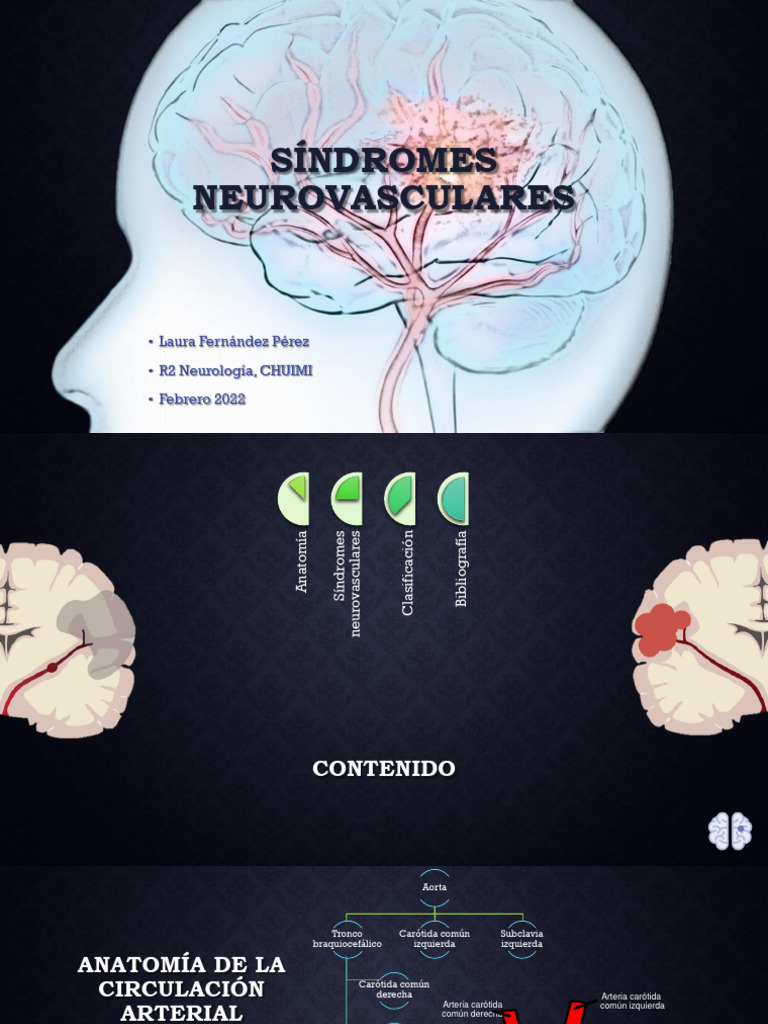 Enfermedades Vasculares Cerebrales | PDF | Cerebro | Cabeza y cuello humanos
