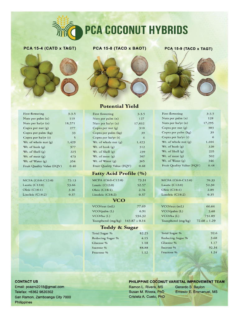 VI Coconut Hybrids | PDF