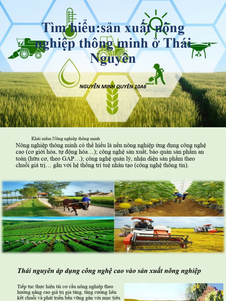 Bản Sao Gddp-10a6-Minh Quyên | PDF