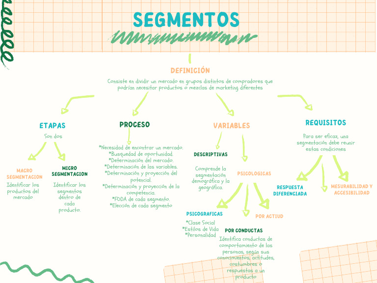 Mapa Conceptual Segmentos | PDF | Mercado (economía) | Comportamiento