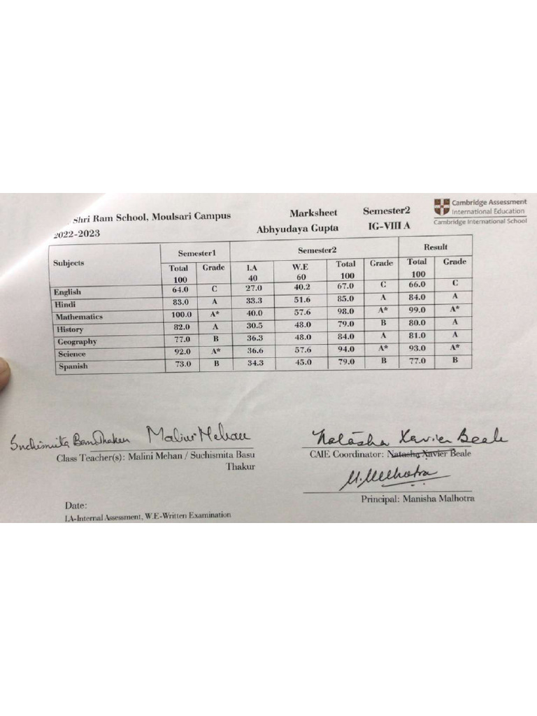 Grade 8 Marksheet | PDF
