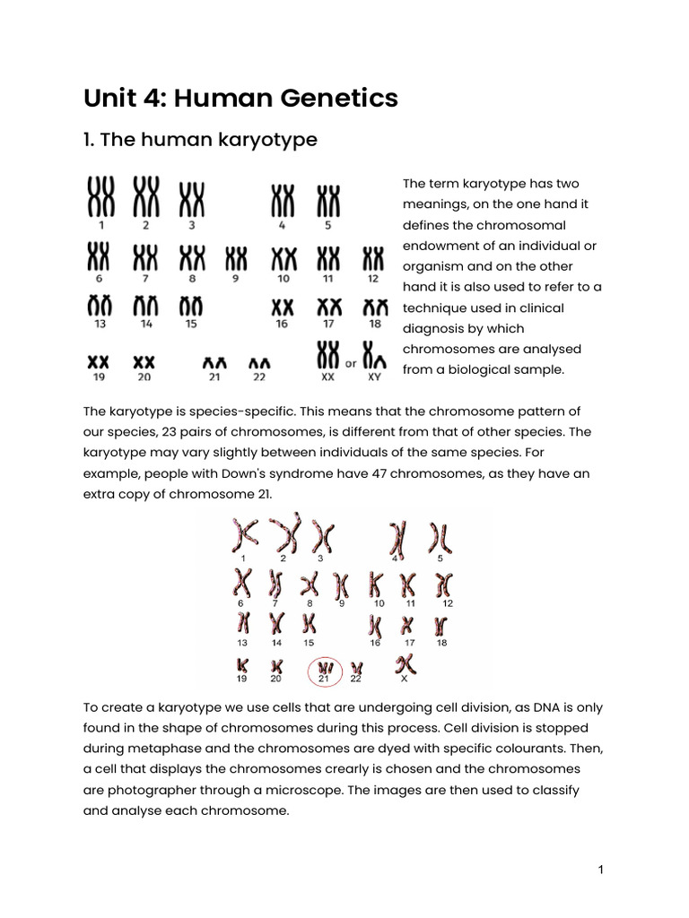 Unit 4 - Human Genetics | Download Free PDF | Genetic Disorder | Chromosome