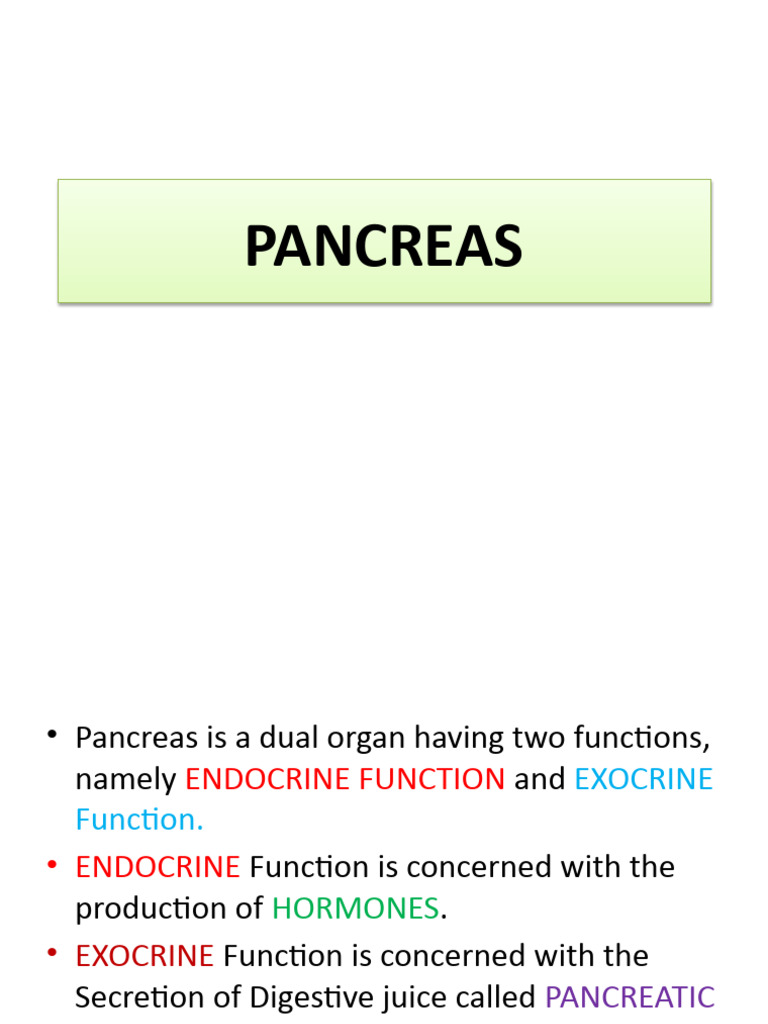 PANCREASE | PDF | Pancreas | Digestion