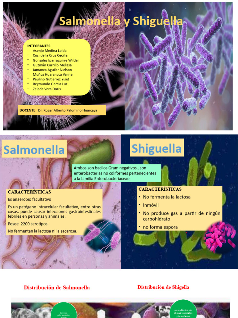 Salmonella y Shigella | Descargar gratis PDF | Salmonela | Diarrea