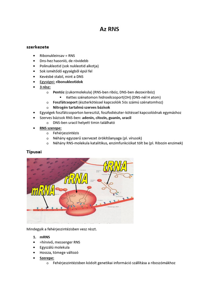 Az RNS | PDF