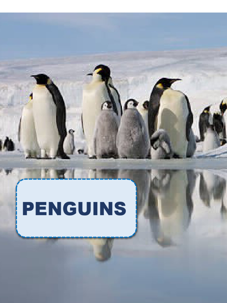 Penguins Big Book | PDF