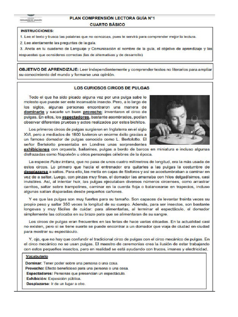 Guia de Comprension 4 | PDF