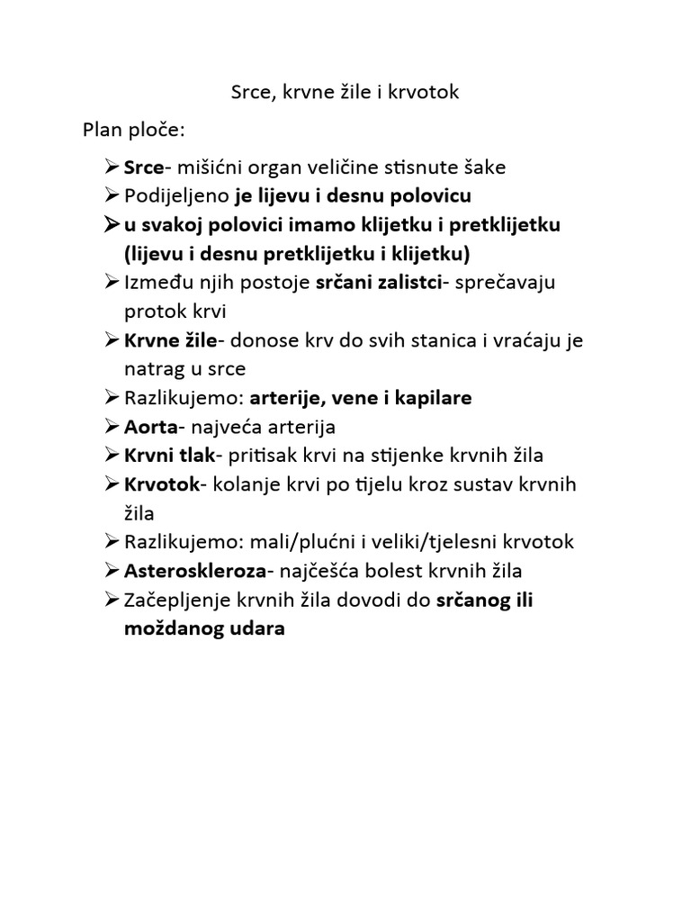 Srce, Krvne Žile I Krvotok - PLAN PLOČE | PDF