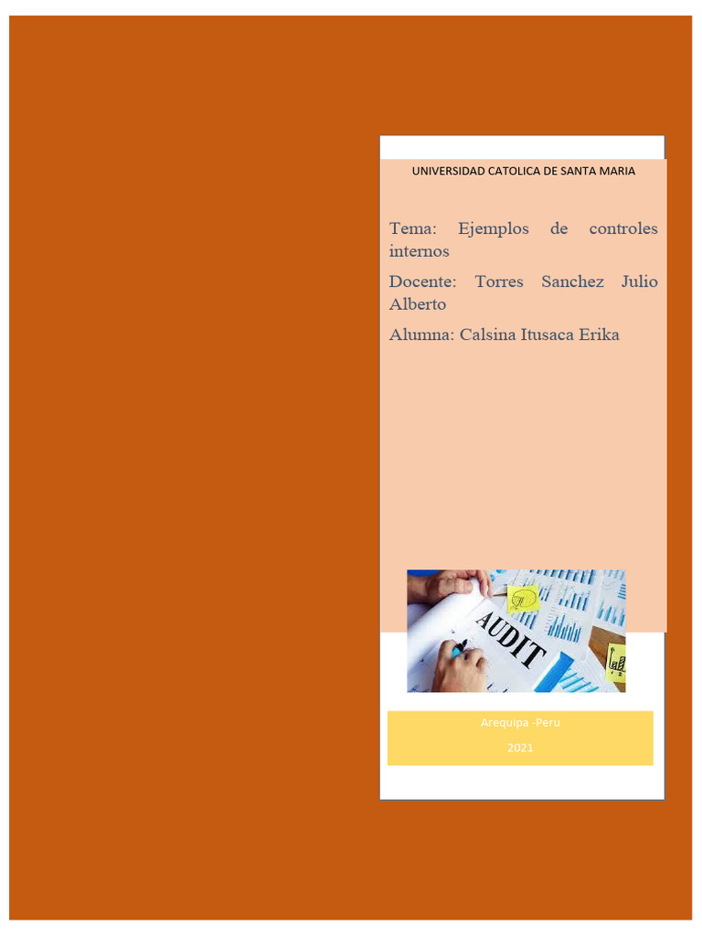 EJEMPLOS DE CONTROLES | PDF