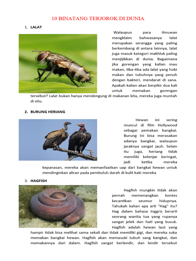 10 Binatang Terjorok Di Dunia | PDF