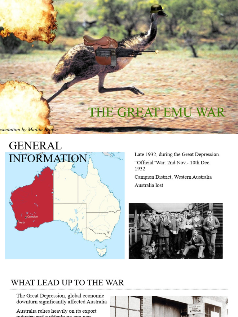 The Great Emu War | PDF | Warfare | Military Operations