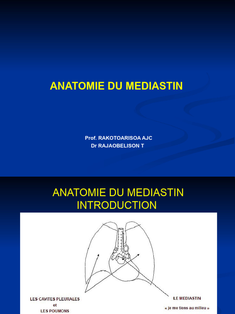 Anatomie du Médiastin: Guide Complet | PDF