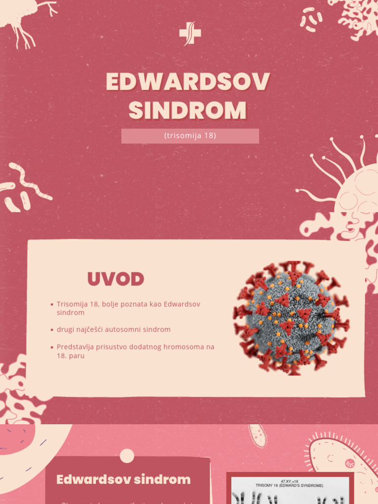 Pink Illustrative Organic Biology Project Presentation | PDF
