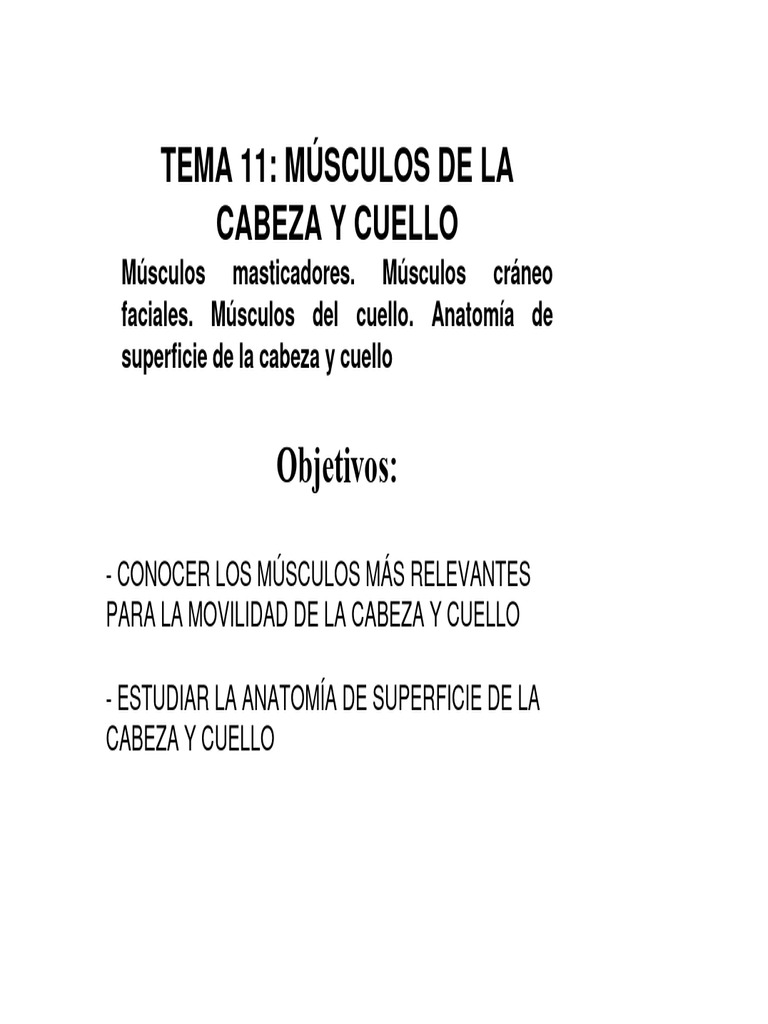 T11 Musculos De La Cabeza Y El Cuello Pdf Anatomía Sistema
