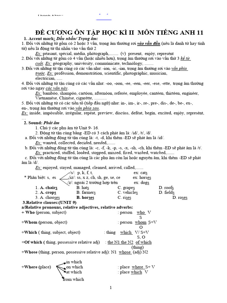 De Cuong On Thi Hk2 Lop 11 de Cuong On Thi HK 2 Lop 11 | PDF