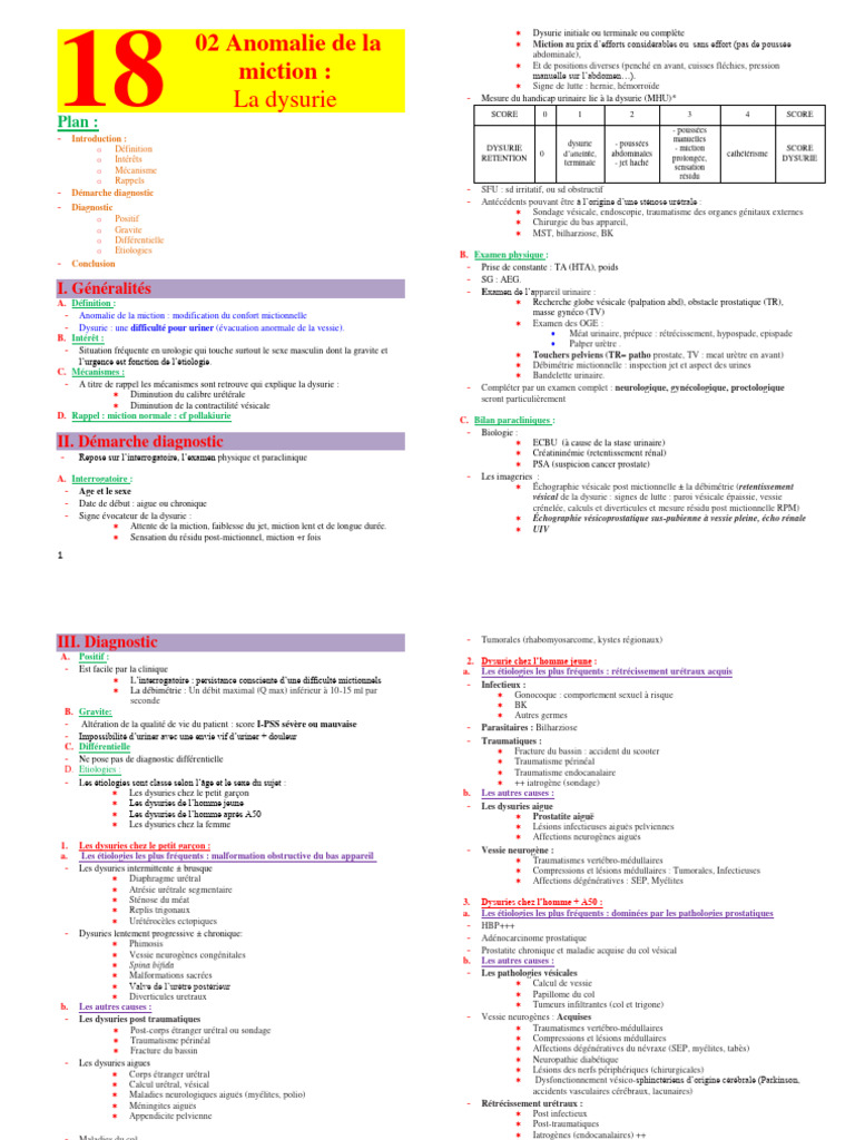 Dysurie : Diagnostic et Étiologies | PDF | Prostate | Urine