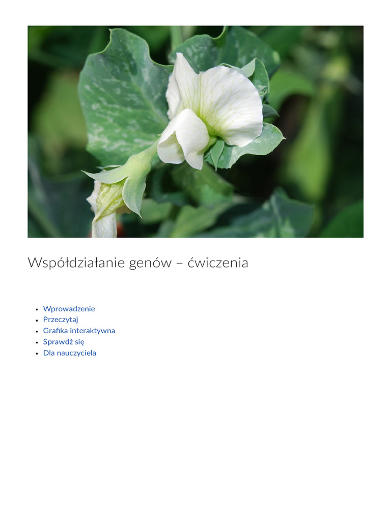 Wspoldzialanie Genow Cwiczenia | PDF