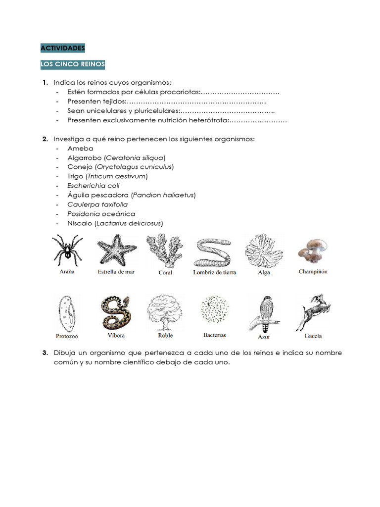 Tema 5 - Los Cinco Reinos. Monera, Protoctista, Hongos. Ejercicios ...