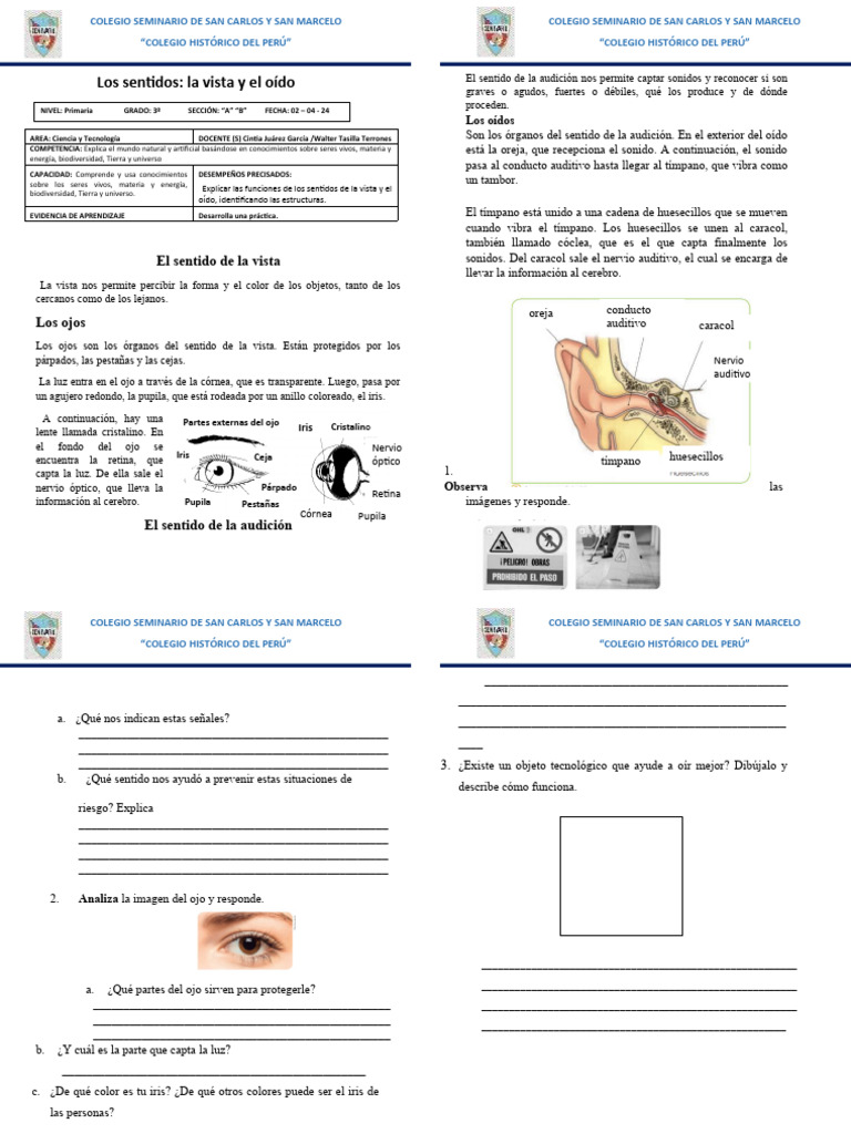 FICHA Los Sentidos - Vista y Oído | PDF | Oído | Escuchando