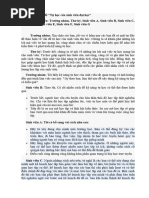 Slide-UTH mẫu | PDF