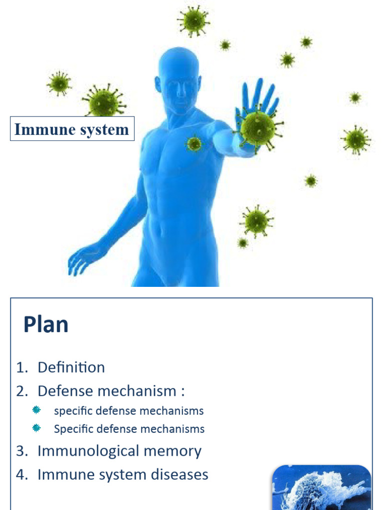 Understanding the Immune System Basics | PDF | Immune System | Clinical ...