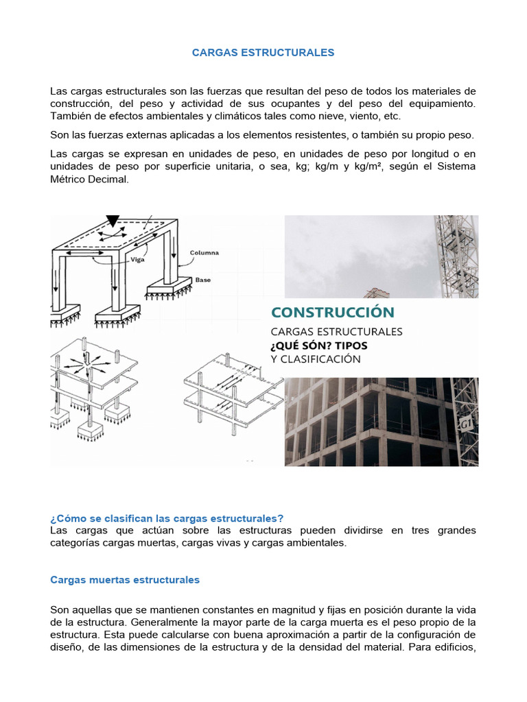 Informe Cargas Estructurales | PDF | Peso | Kilogramo