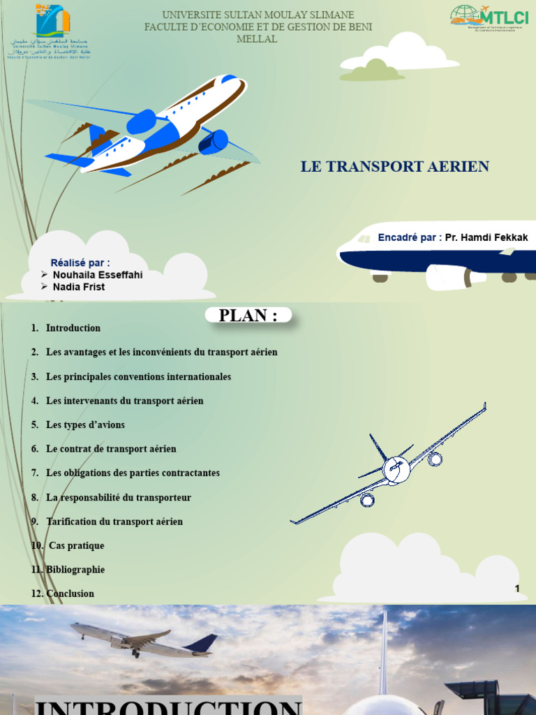 Étude du Transport Aérien | PDF | Transport