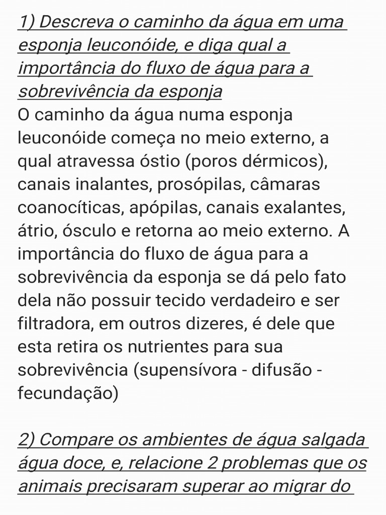 Prova Lofego - 240403 - 093245 | PDF