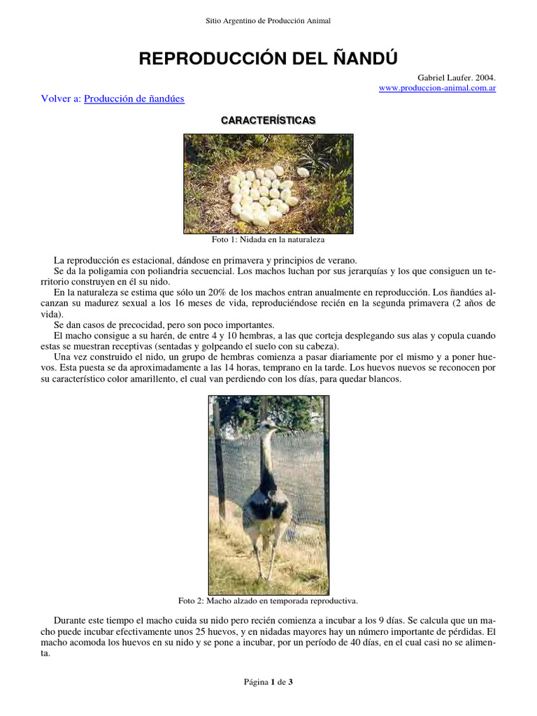 Reproducción del Ñandú en Granja | PDF | Reproducción | Huevo