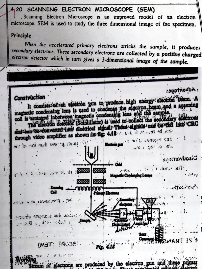 Sem - Stem | PDF | Scanning Electron Microscope | Microscope