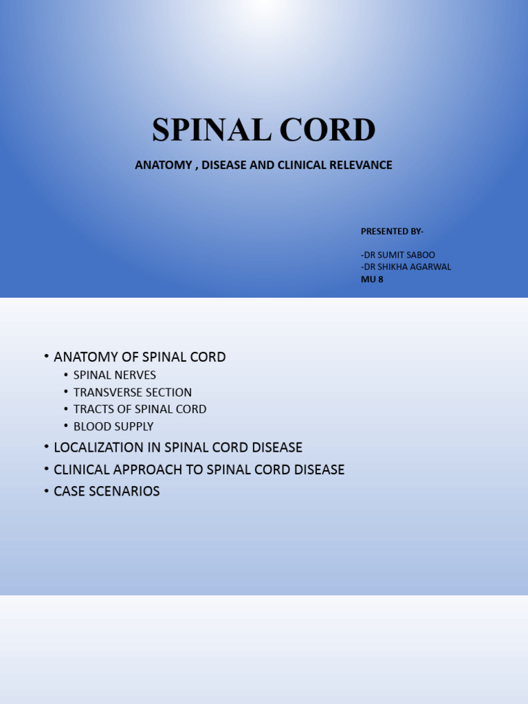 SPINAL CORD | PDF | Spinal Cord | Neuroanatomy