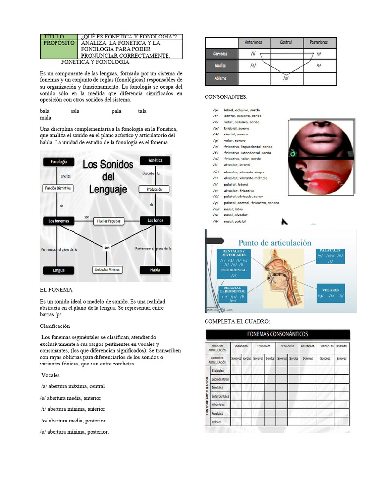 Fonetica y Fonologia | PDF | Fonema | Fonología