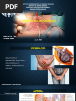 Tecnica Quirúrgica Hernioplastía Inguinal 1 | PDF