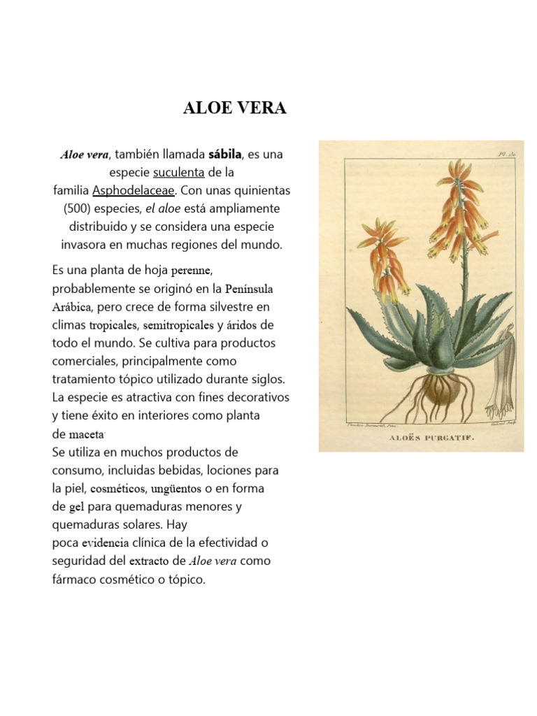 Aloe Vera | PDF