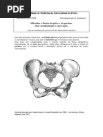 Pelve e Períneo | PDF | Pélvis | Anatomia