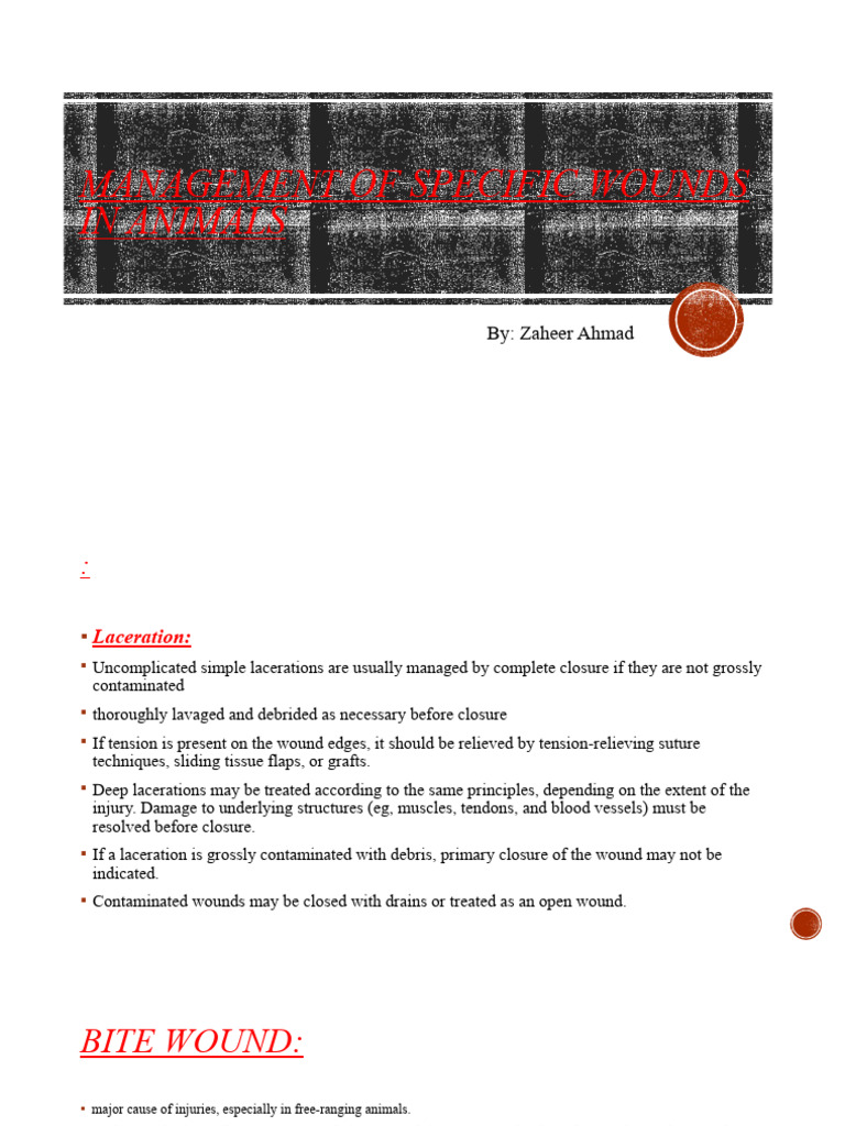 Animal Wound Management Techniques | PDF | Wound | Injury