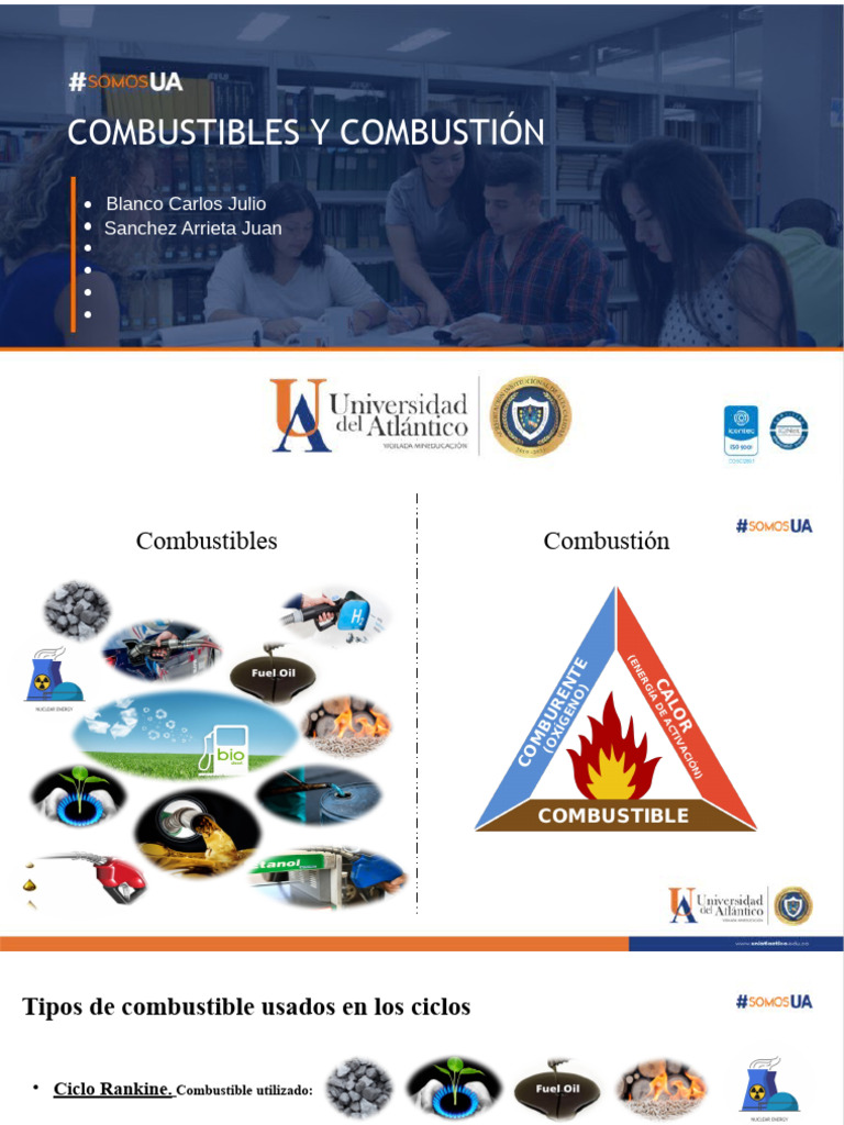 Combustibles y Combustion | PDF | Gas de petróleo licuado | Combustión