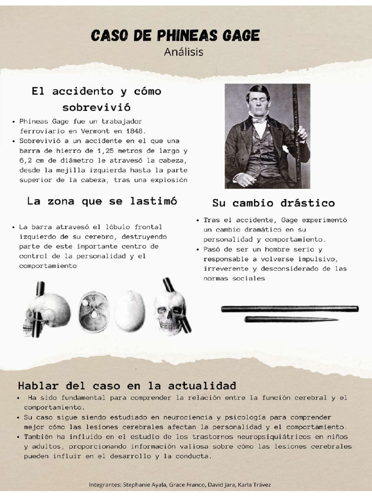 Infografia Phineas Gage | PDF