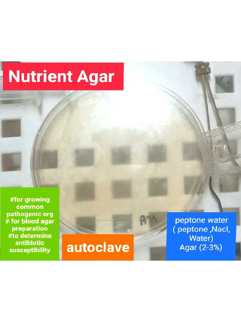 Micro Spotters | PDF