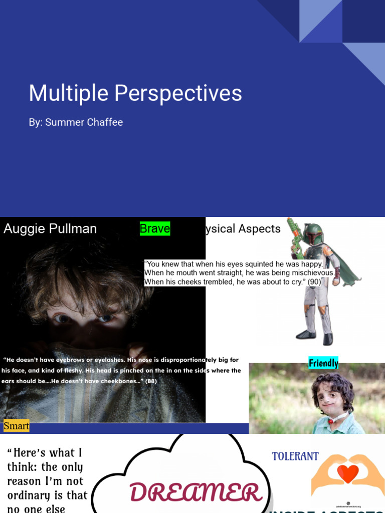 Multiple Perspectives | PDF