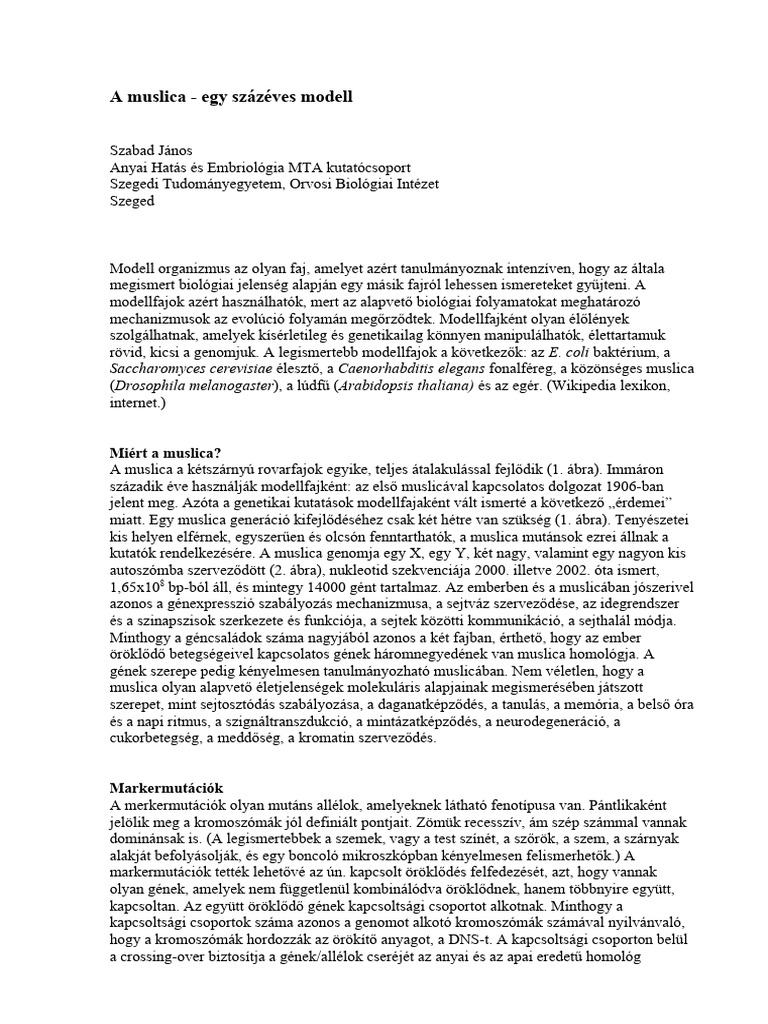 SzabadJanos A Muslica | PDF