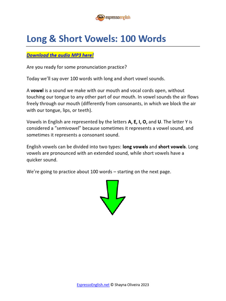 Long and Short Vowel Sounds Practice | PDF | Vowel | Consonant