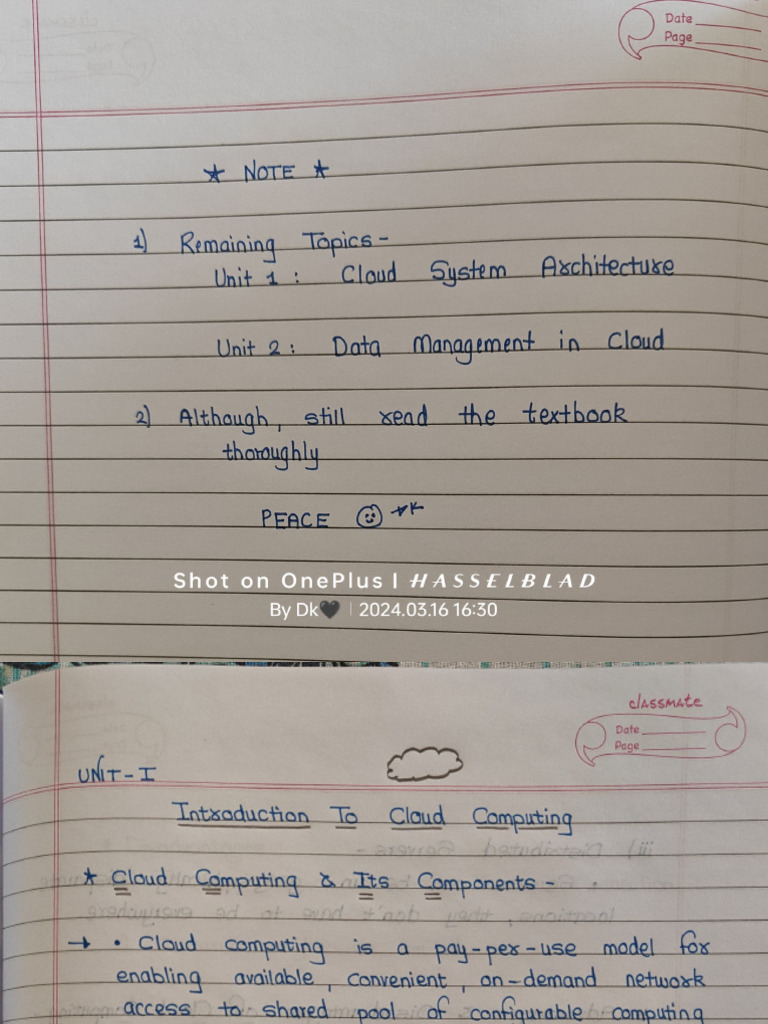 CC Insem Notes by DK? | PDF