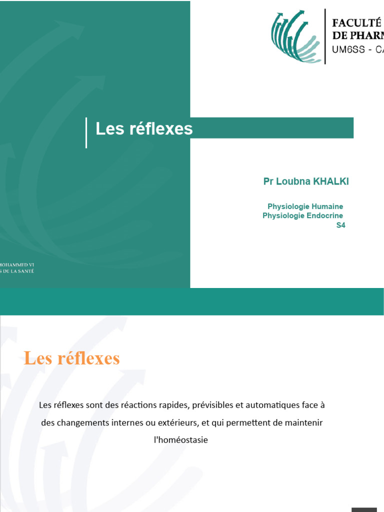 Les Réflexes 2022 | PDF | Muscle | Système nerveux