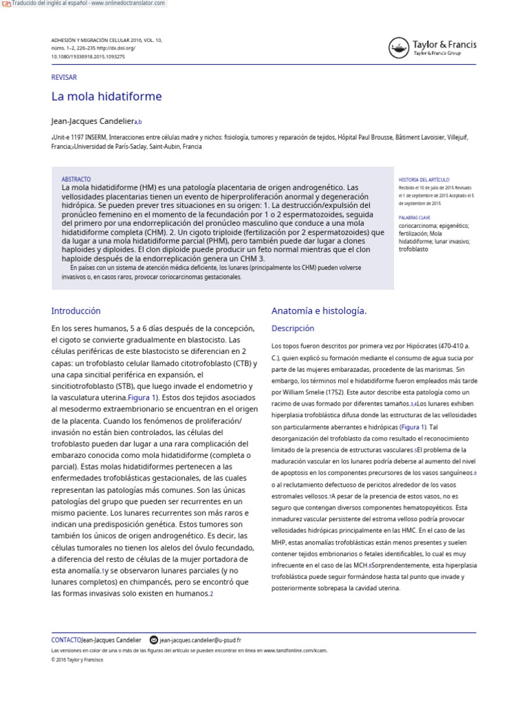 Mola Hidatiforme - .En - Es | PDF | El embarazo | Gemelo