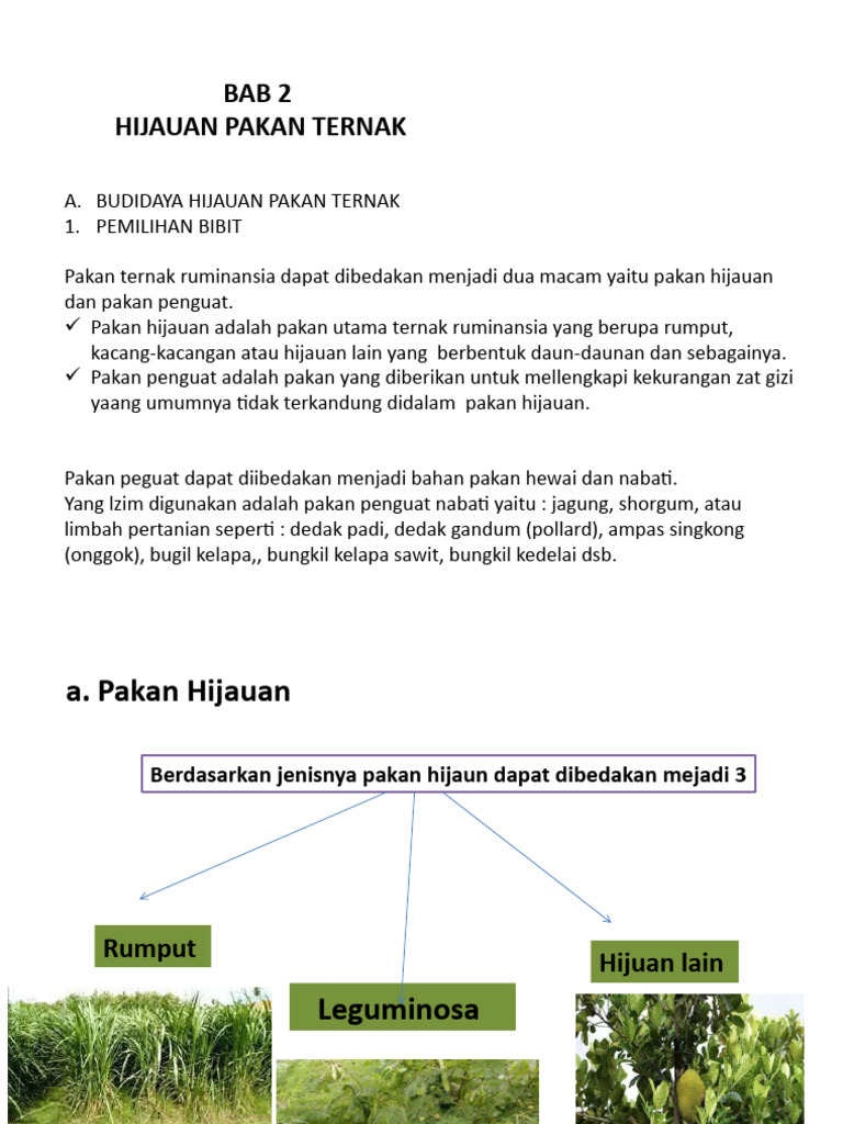 Materi Hijauan Pakan Ternak | PDF