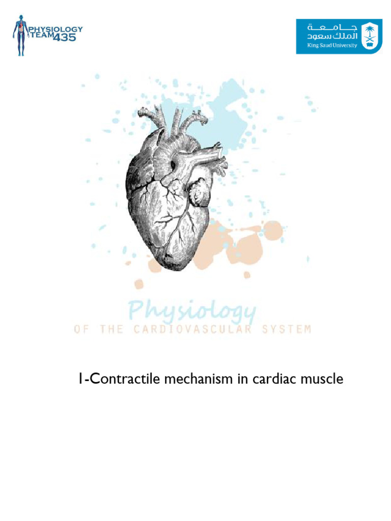 L1 MCQs | PDF | Cardiac Muscle | Muscle Contraction
